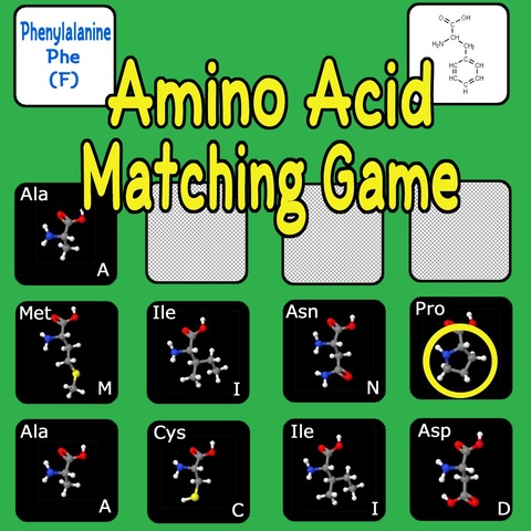 Amino Acid Matching Game Game Information, Videos, Achievements and players